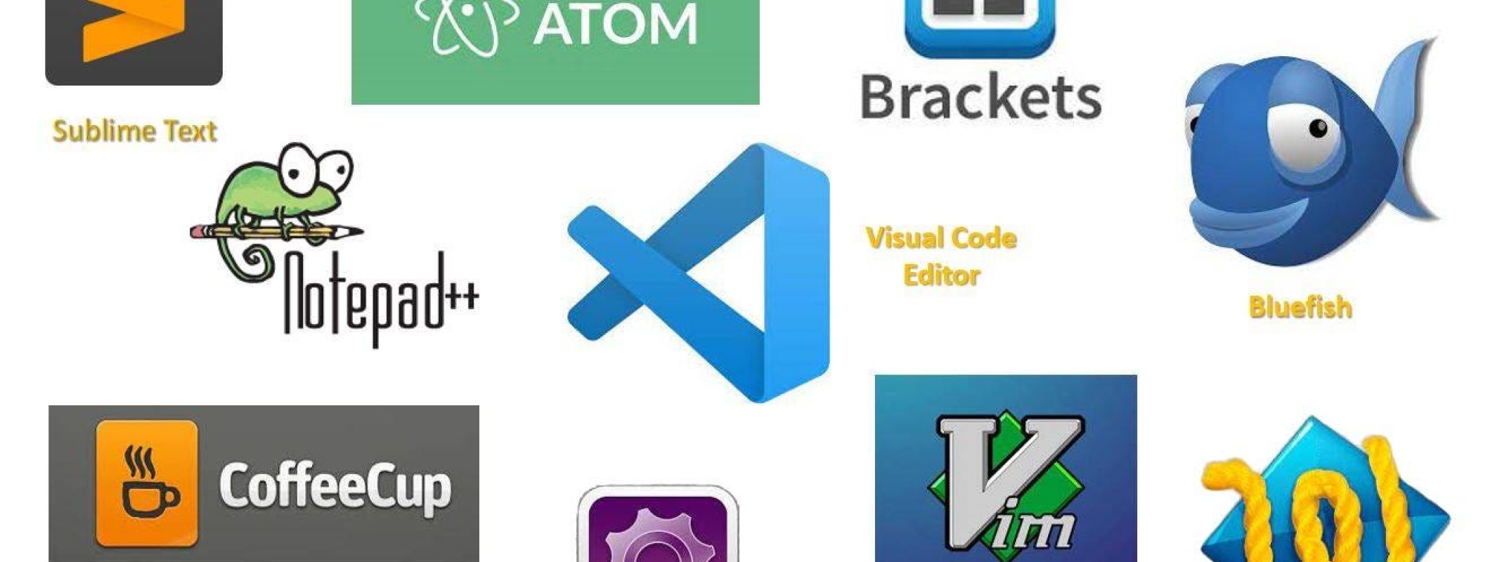 Best Code Editors for Developers in 2025